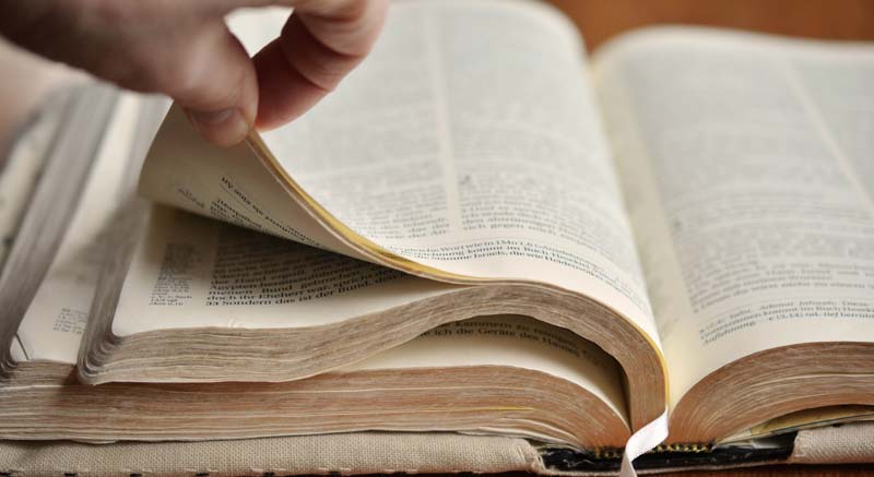 Psalms About Friendship: Discovering Biblical Companionship - Ministry ...