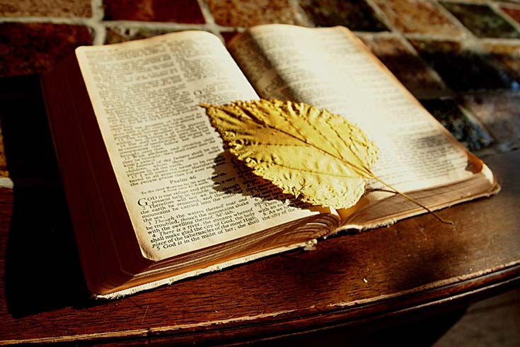 When Was the Book of Psalms Written? Exploring the Timeless Prayers and ...