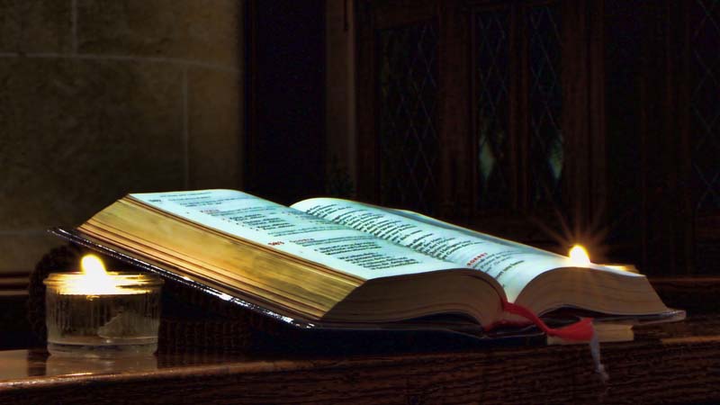 Discovering God’s Word: A New Testament Chronological Reading Plan ...