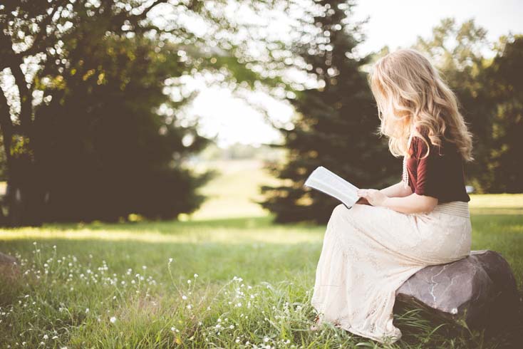Discovering the New Testament: Reading It as Christian Scripture ...