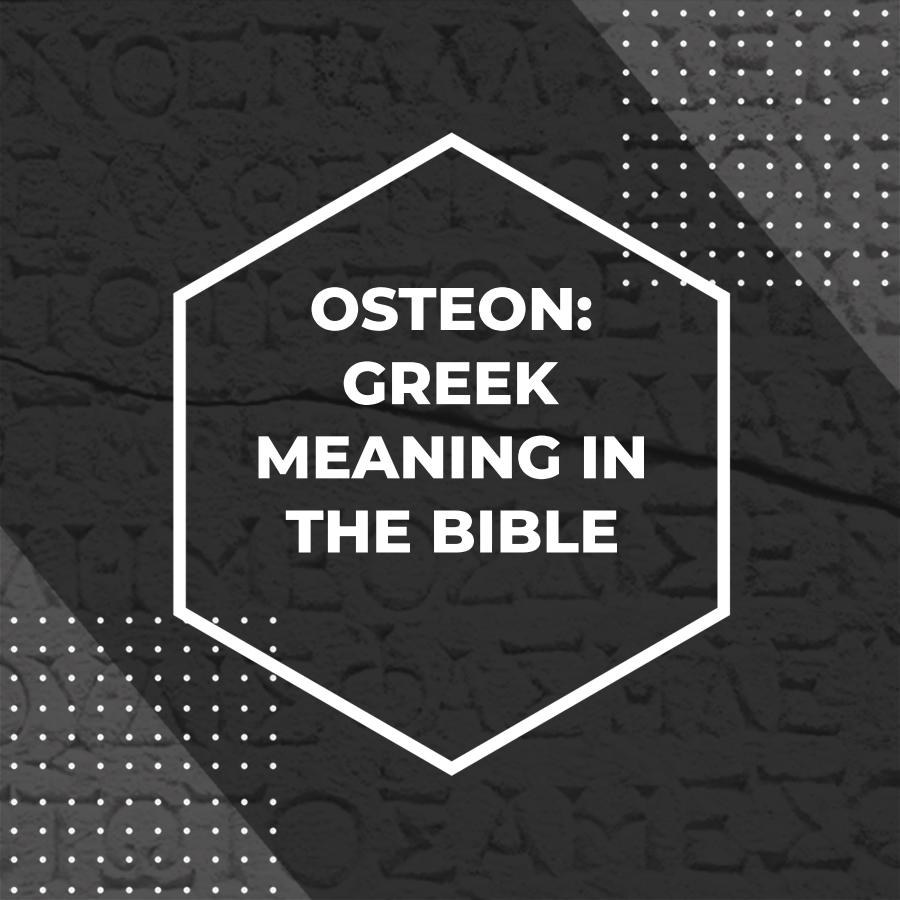 Explorando el significado de Osteon en griego - La Voz del Ministerio