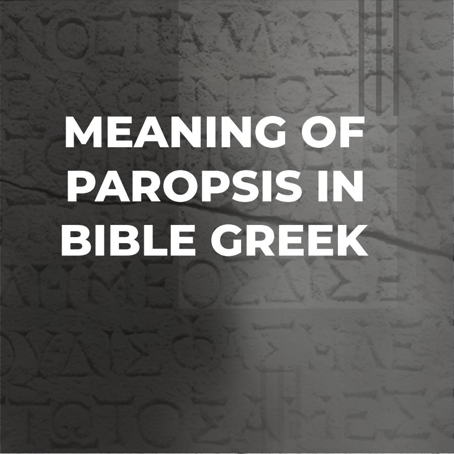 Explorando el significado de paropsis en griego - Ministry Voice