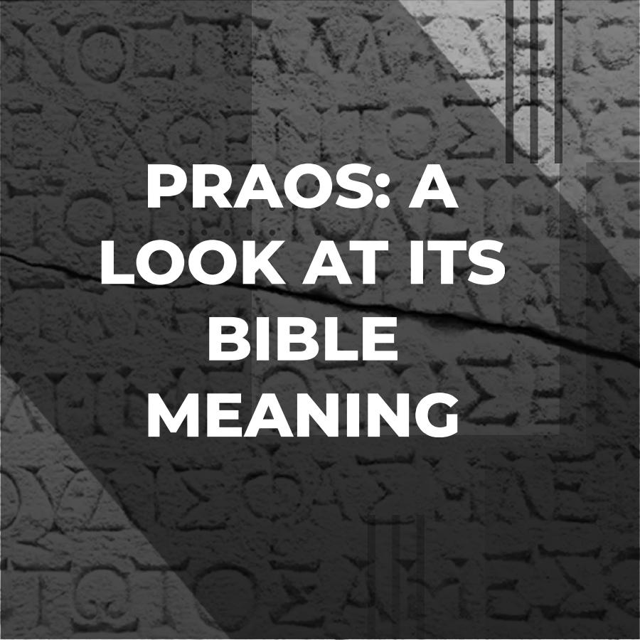 Exploring the Meaning of Praos in Greek