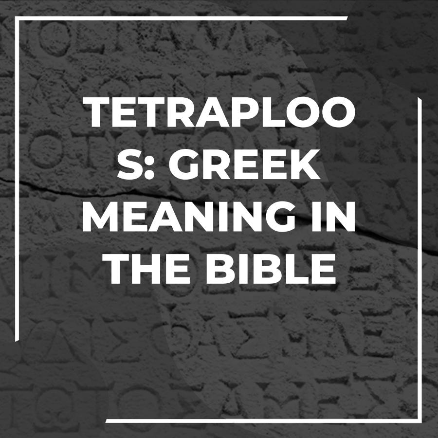 Exploring the Meaning of Tetraploos in Greek