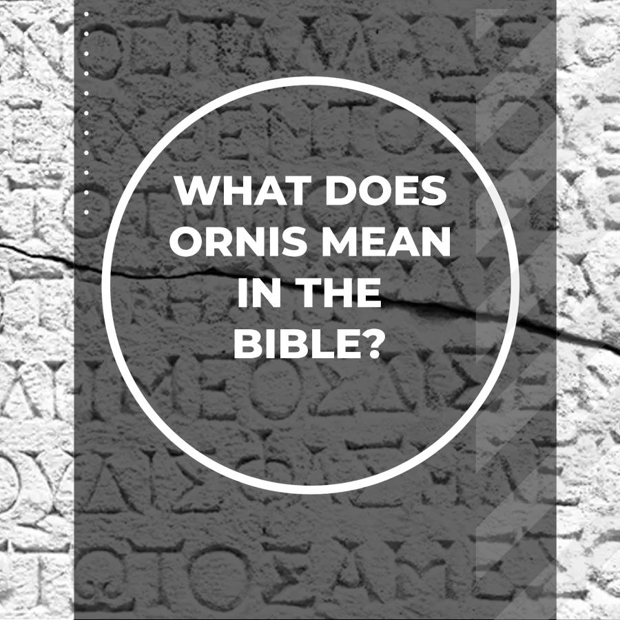 การสำรวจความหมายของ Ornis ในภาษากรีก