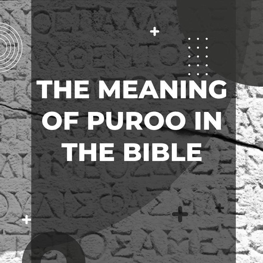 Exploring the Meaning of Puroo in Greek