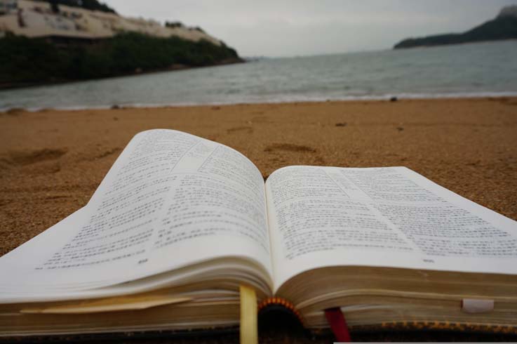 Who Is the Author of Psalms? Discovering the Voices Behind the Beloved ...